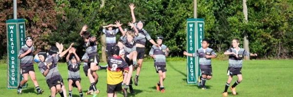 HOME - Hamilton Suburbs Sports Club